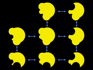 Embryo Morphogenesis (pattern discovery) | MathPickle