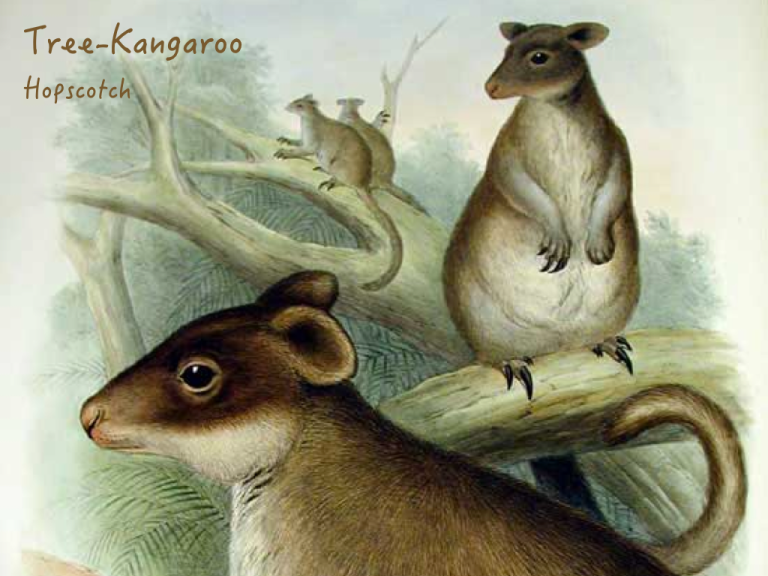 Tree Kangaroo Hopscotch (skip counting) | MathPickle