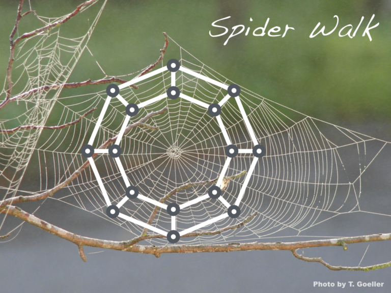 Spider Walk (probability) | MathPickle