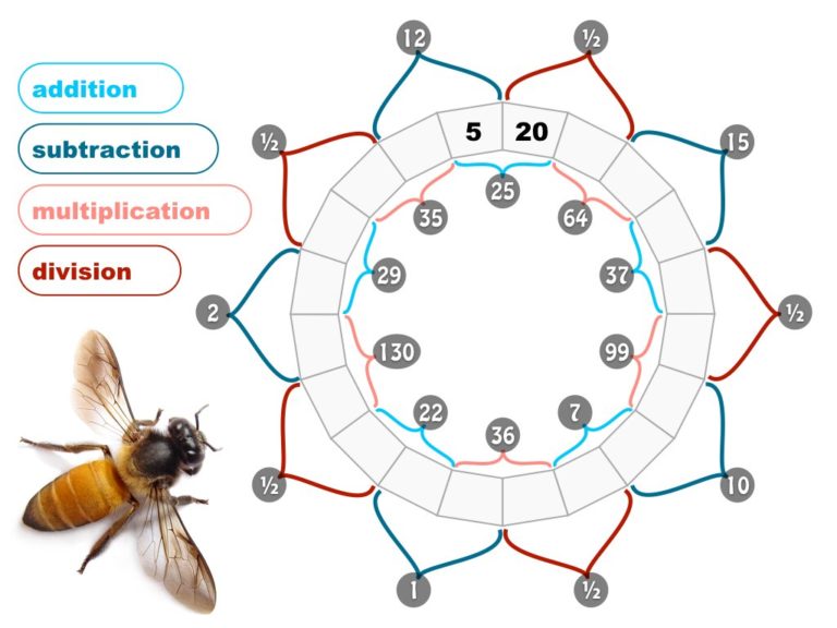 Pollinator Puzzles (multiplication, division) | MathPickle