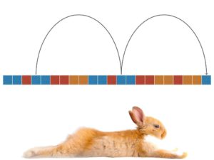 Hare vs. Hare (patterns, algorithm) | MathPickle