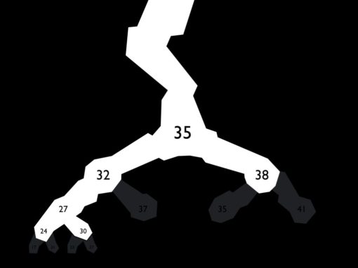 Primitive Lightning (composite divisors) | MathPickle