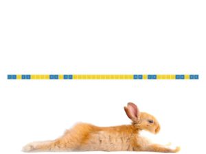 Hare vs. Hare (patterns, algorithm) | MathPickle