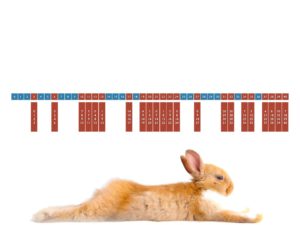 Hare vs. Hare (patterns, algorithm) | MathPickle