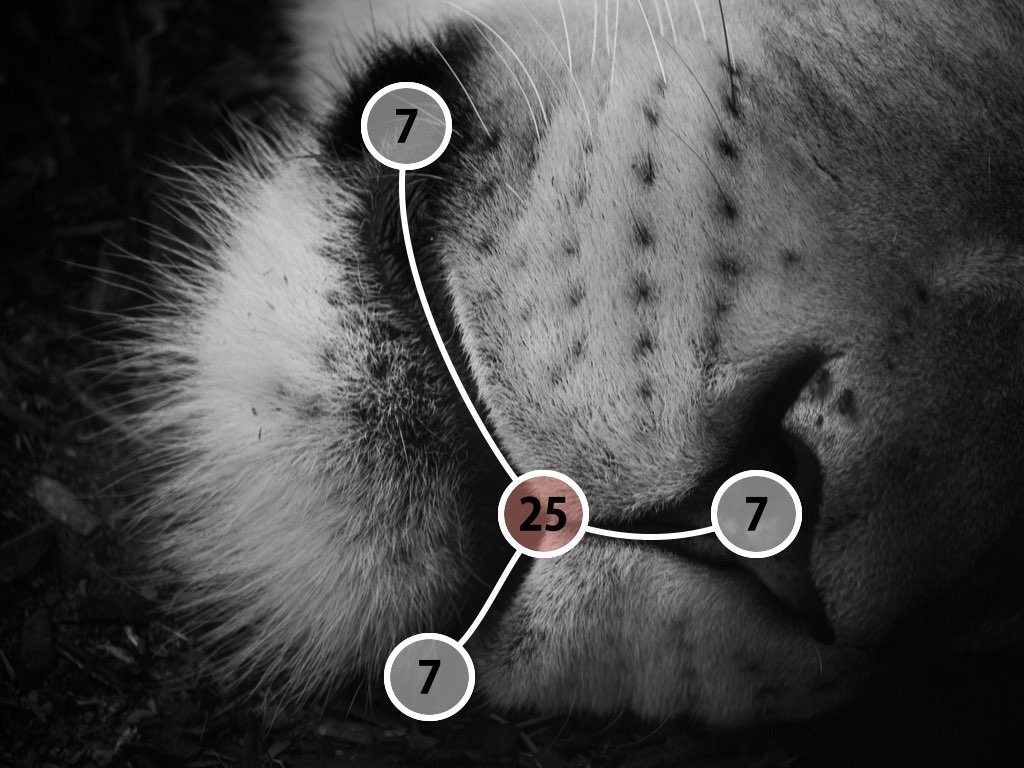 Organized by Grade | MathPickle