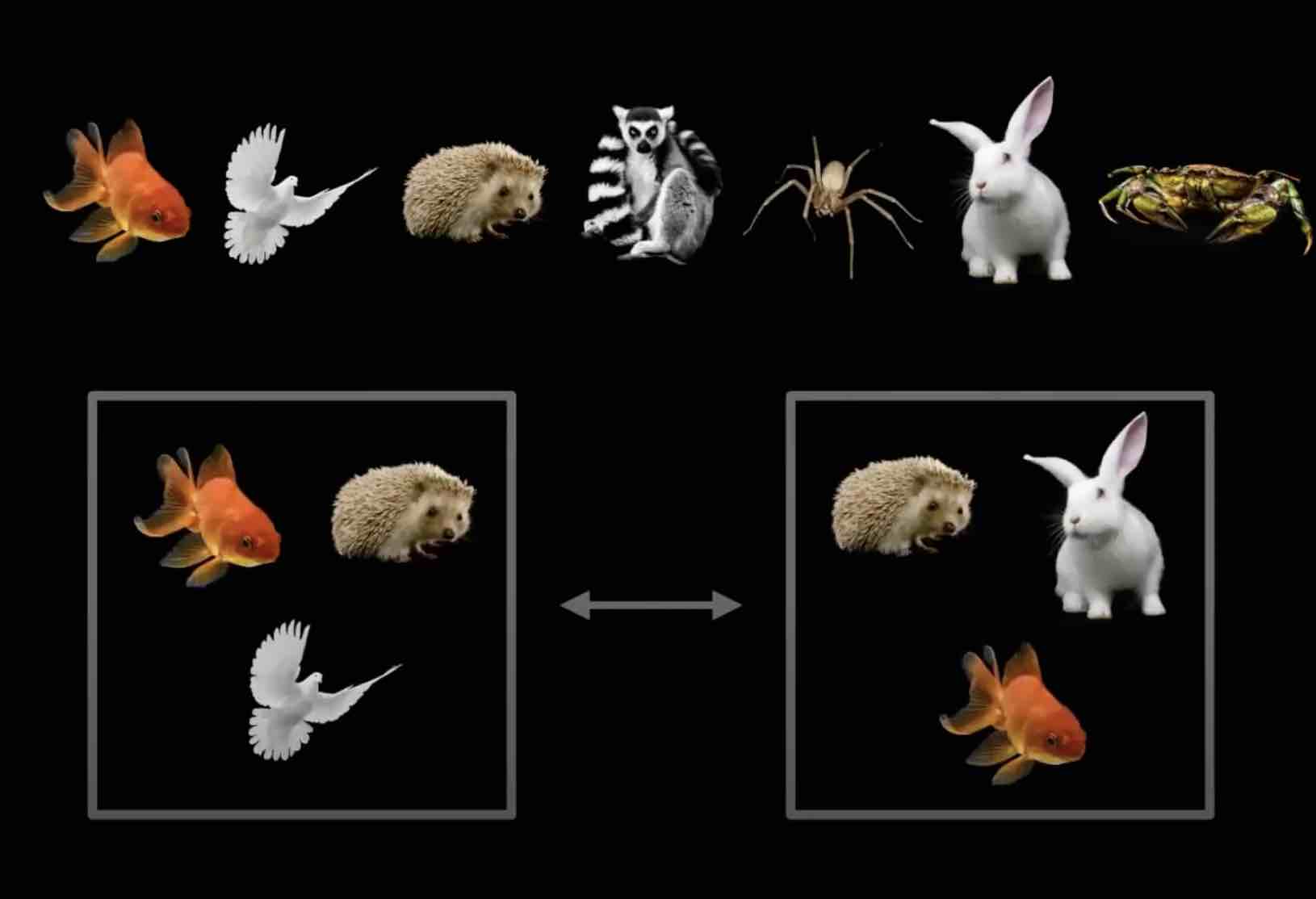 Organized by Grade | MathPickle